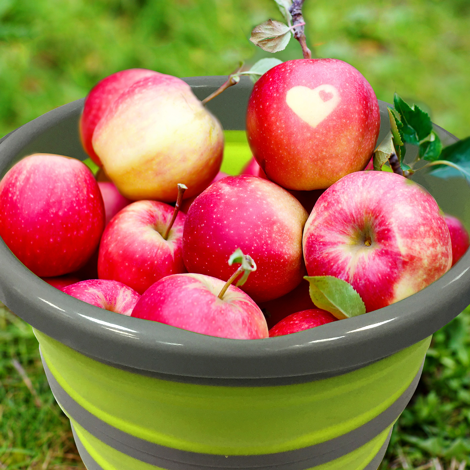 Boost Your Fall Harvest with Four Tips! - Centurion Brands