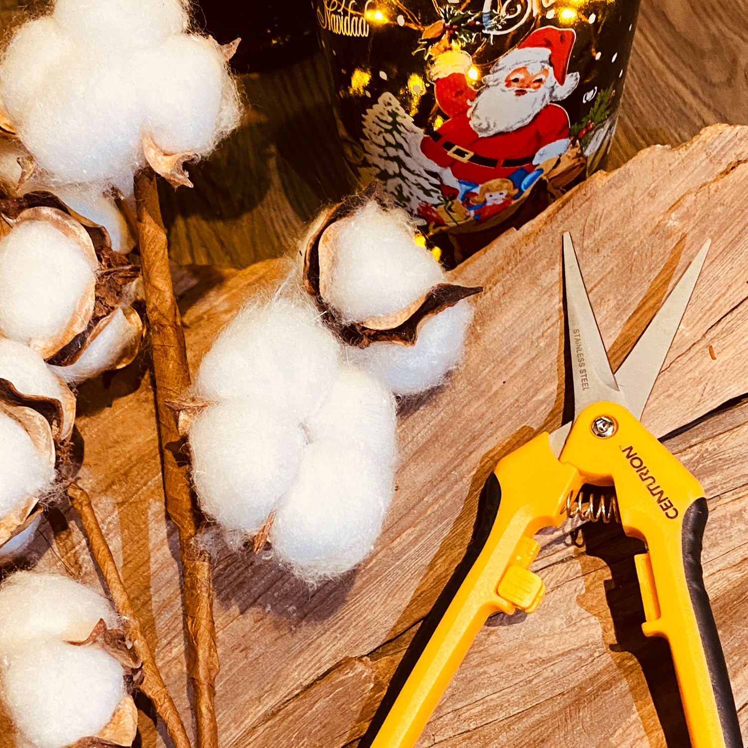 Choosing the Right Pruner for the Right Job - Centurion Brands