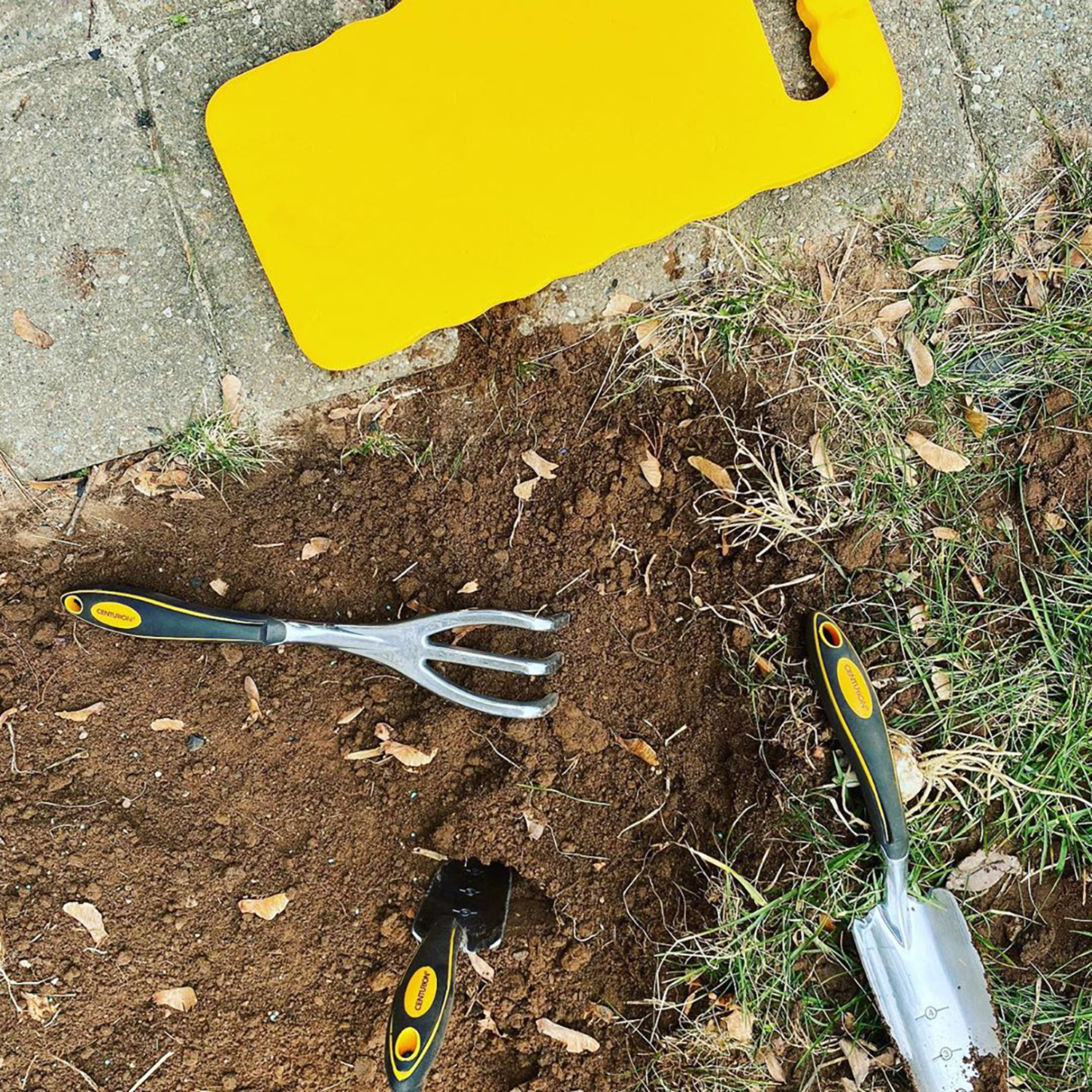 Dirt Cheap Gardening: On A Budget? Here are our top tips and tools for ...