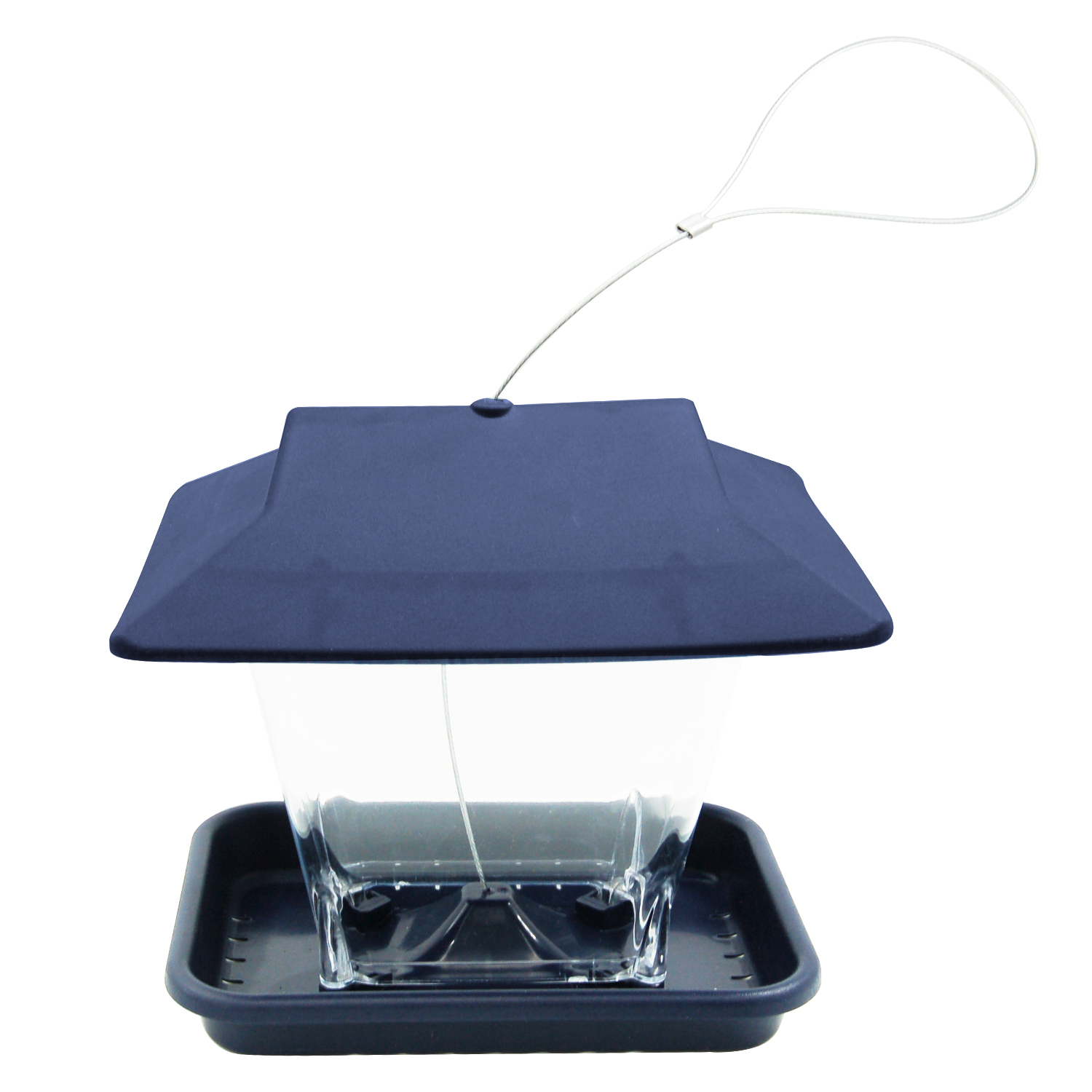 5 Simple Ways to Take Up Birding at Home - Centurion Brands