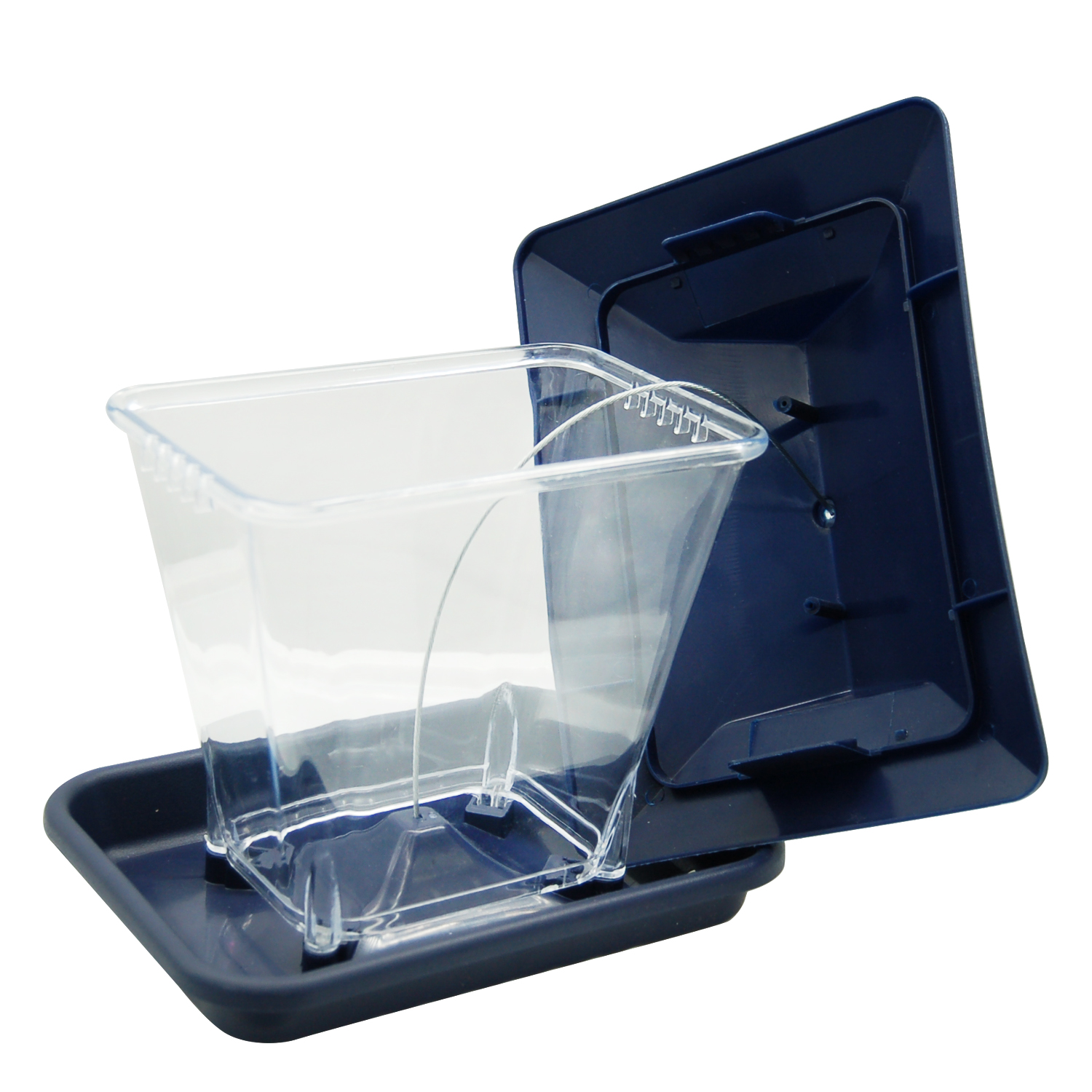 5 Simple Ways to Take Up Birding at Home - Centurion Brands