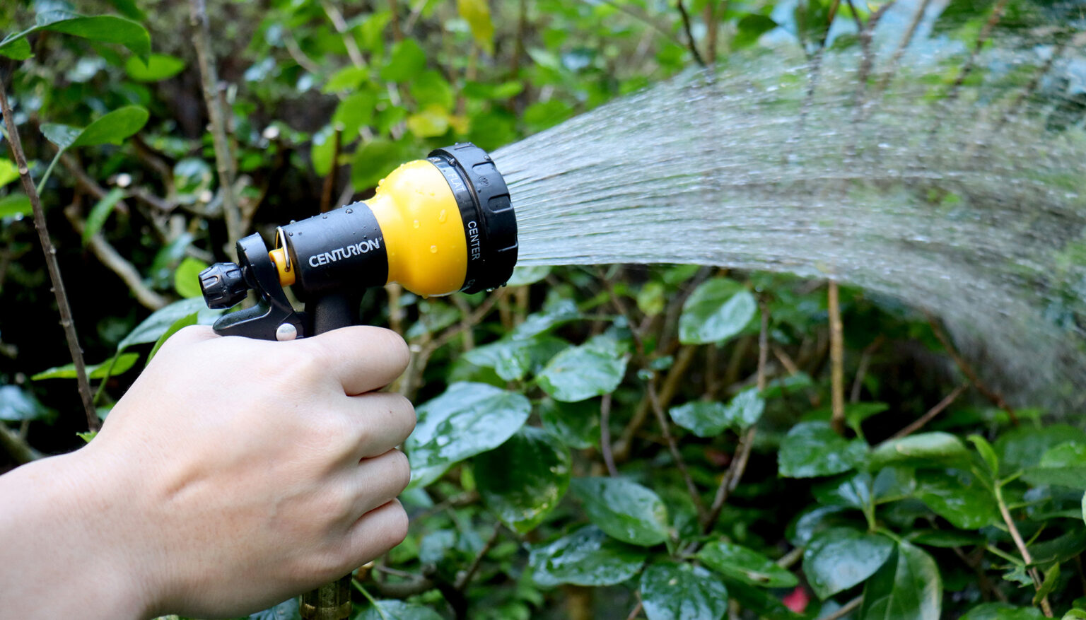 Home - Centurion Brands